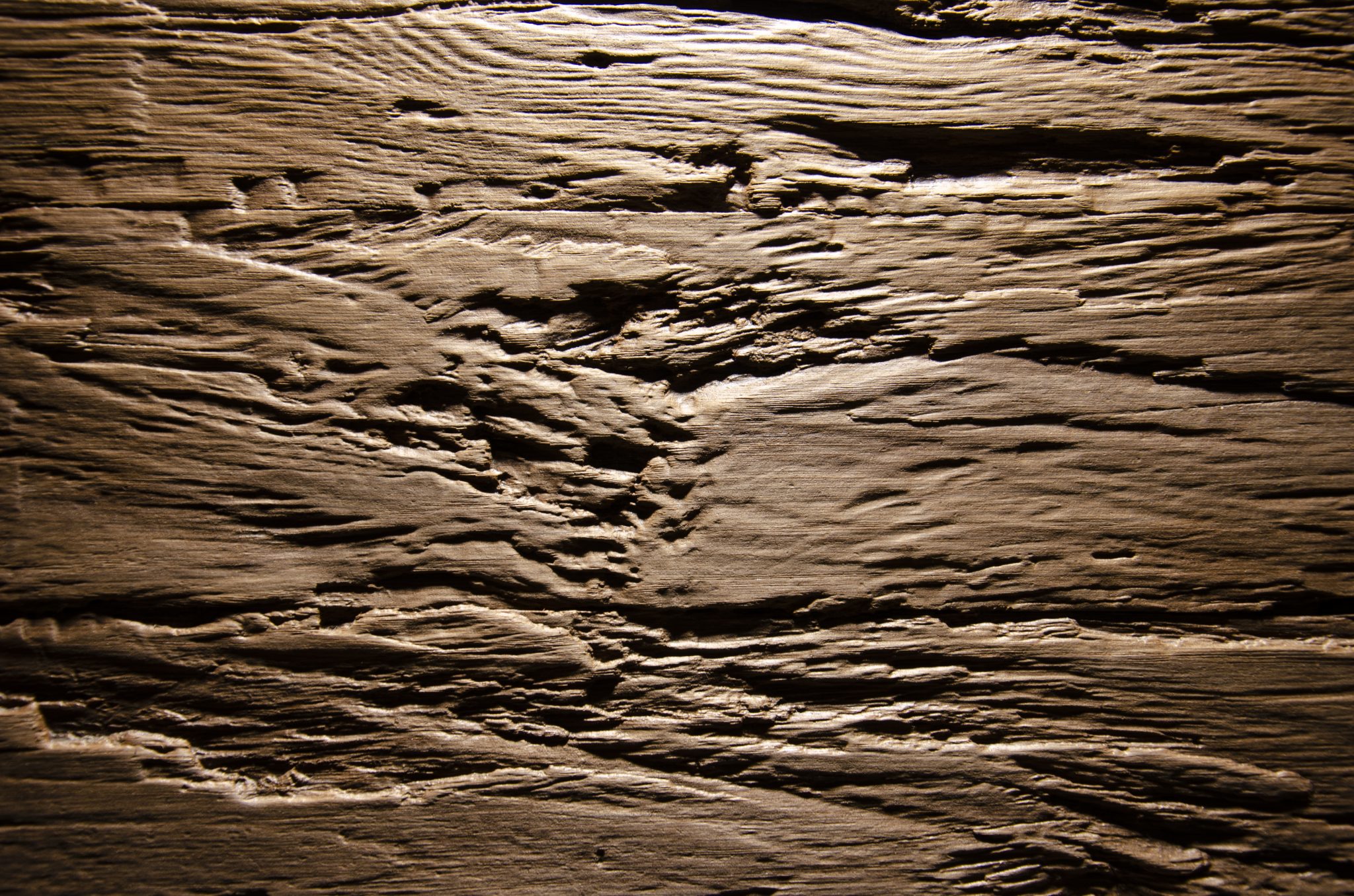 2590 - CHOPPED WOOD - Holz in Form